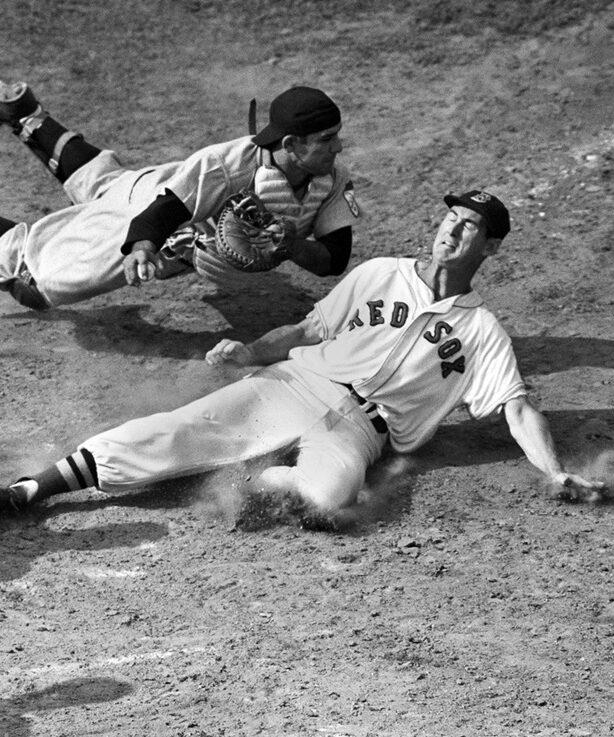 Ted Williams - Cooperstown Expert